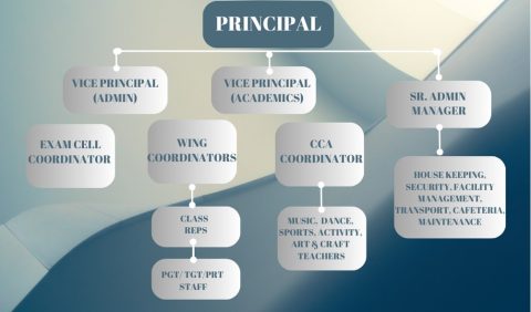 Organogram Structure of School - GD Goenka Public School,
